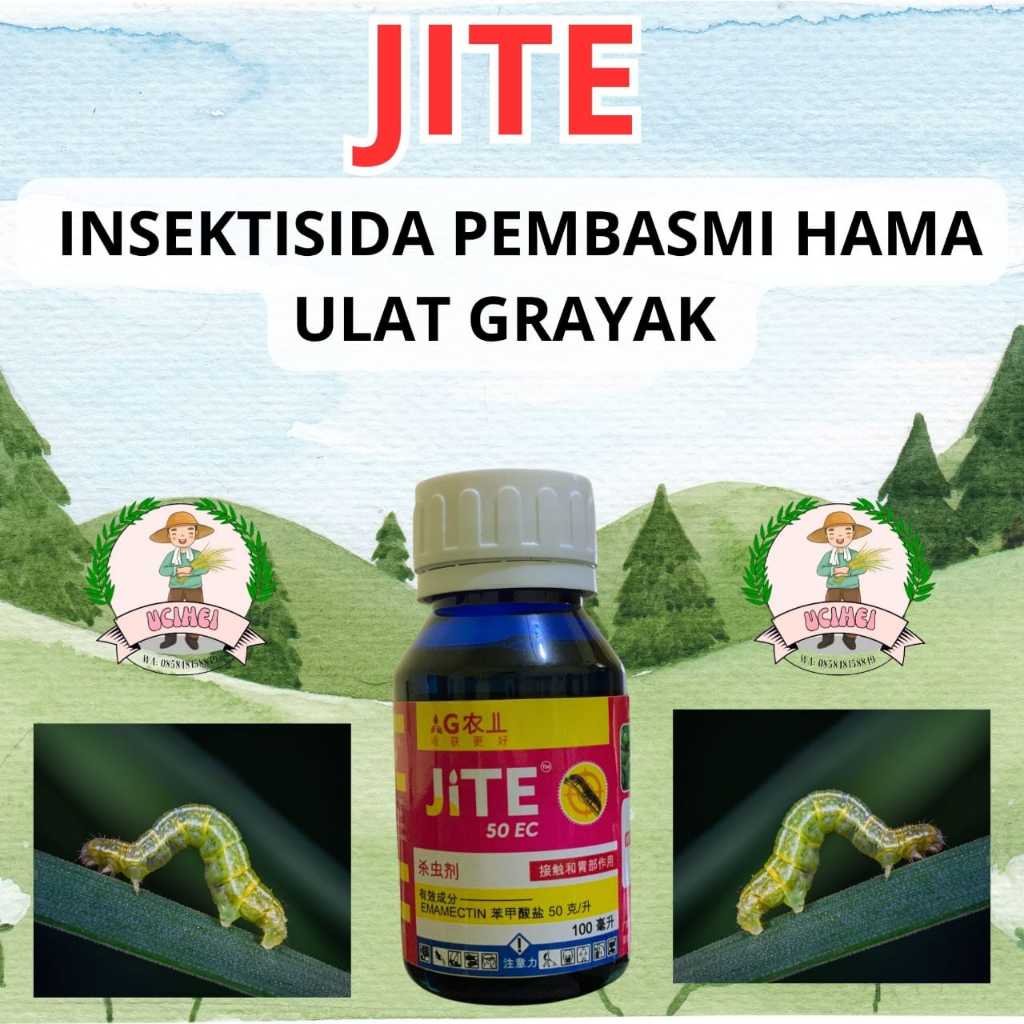 Jual JITE - INSEKTISIDA PEMBASMI HAMA ULAT PADA BATANG,DAUN,BUAH DAN ...