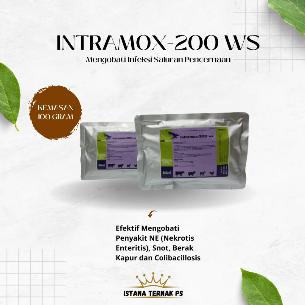 Jual Intramox 200 WS Antibiotik untuk mengobati penyakit saluran ...