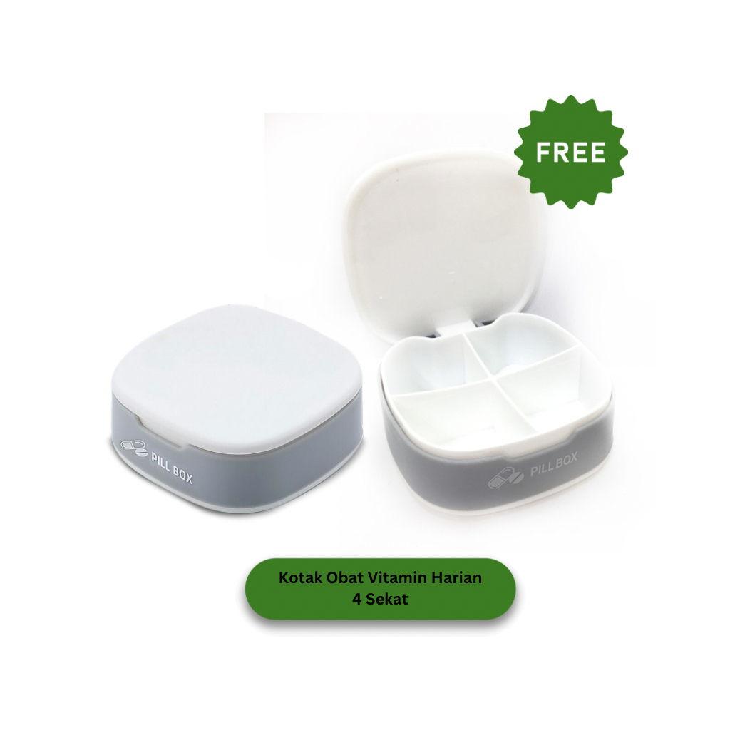 Jual Kotak Obat Vitamin Harian 4 Sekat | Shopee Indonesia