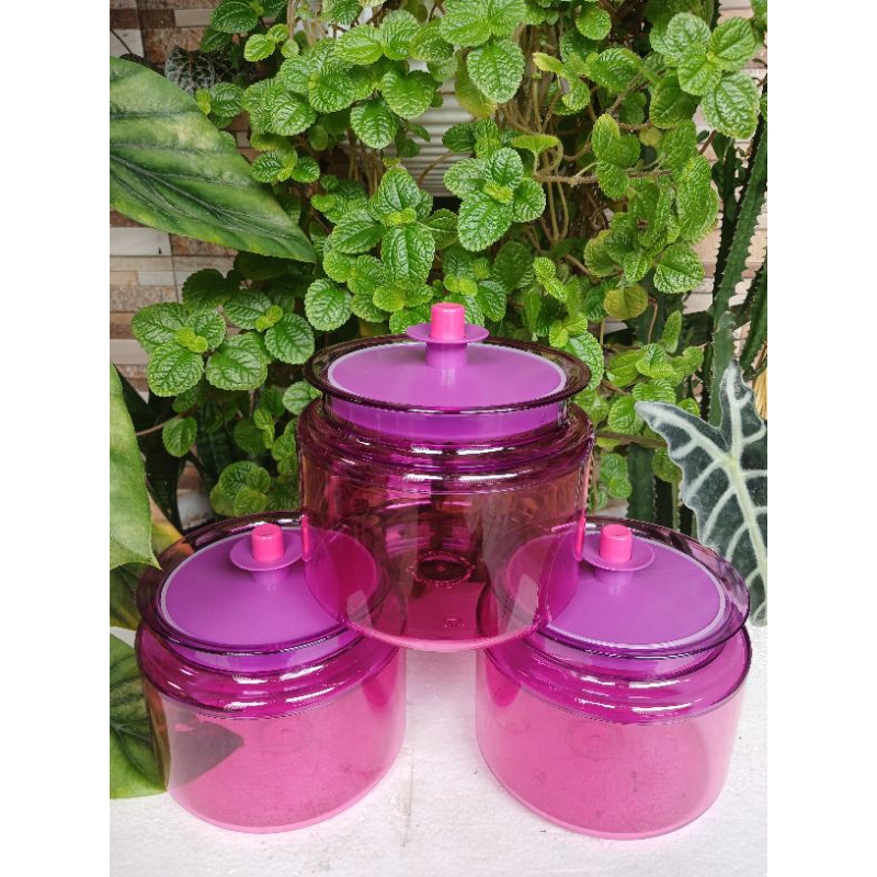 Jual counterpart tupperware/ cp tupperware 1,2 liter ungu (1) | Shopee Indonesia