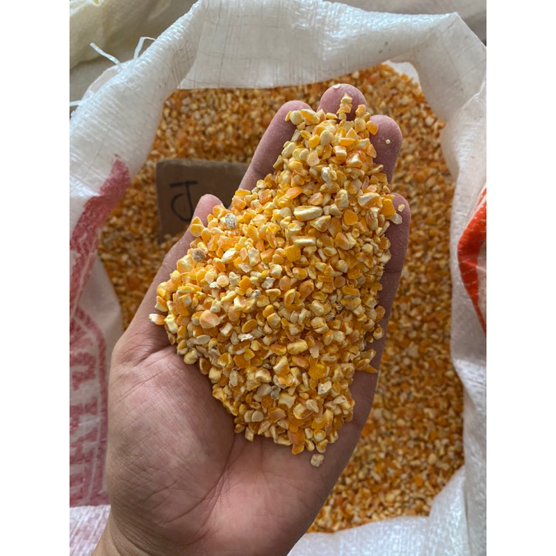 Jual Repack Jagung Giling Ternak 1 Kg 500gr Kualitas Terbaik untuk ...