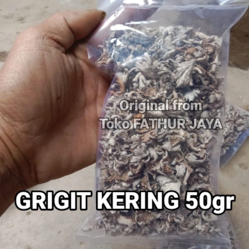 Jual Jamur grigit jamur krikit KERING 50gr SEGAR, BERSIH karena ...