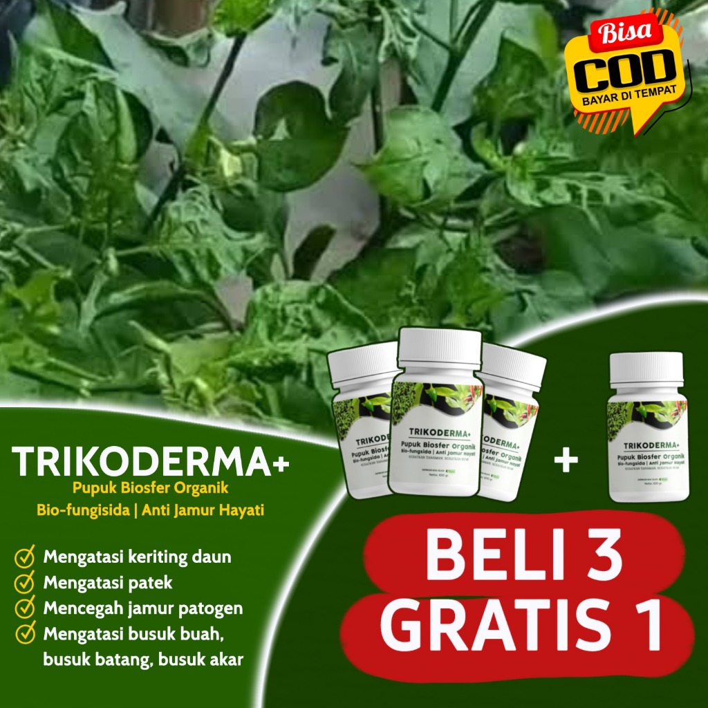 Jual ALFAGREEN- Trikoderma Obat Busuk Akar Batang dan Buah | Buah ...
