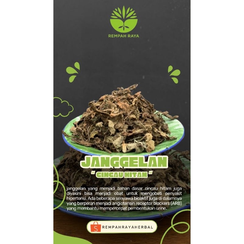 Jual Daun Janggelan asli pacitan/ Daun Cincau Murni 1 kg | Shopee Indonesia