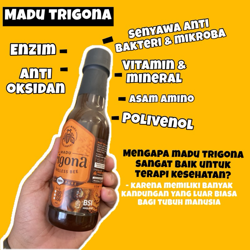 Jual MADU TRIGONA PROPOLIS 250ml | Shopee Indonesia