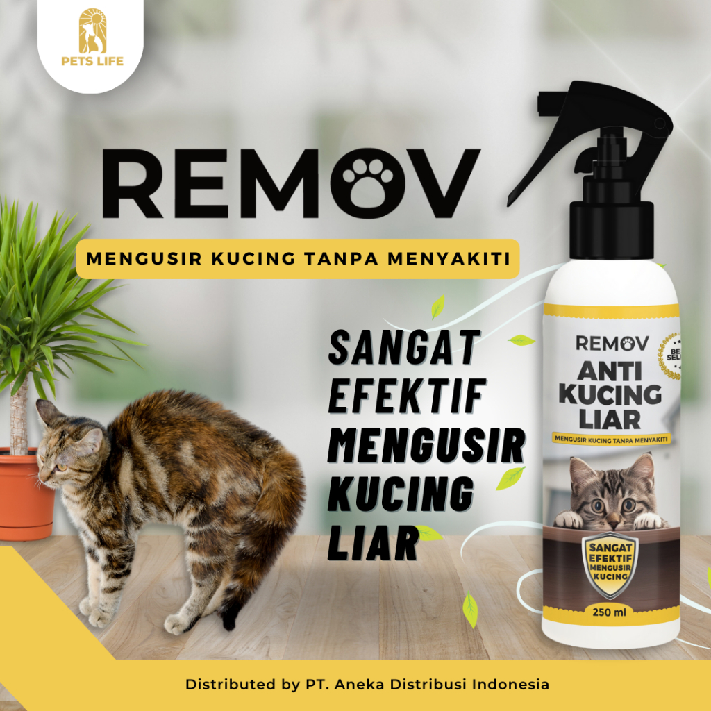 Jual REMOV SPRAY KUCING LIAR SPRAY mencegah kucing pipis sembarangan ...