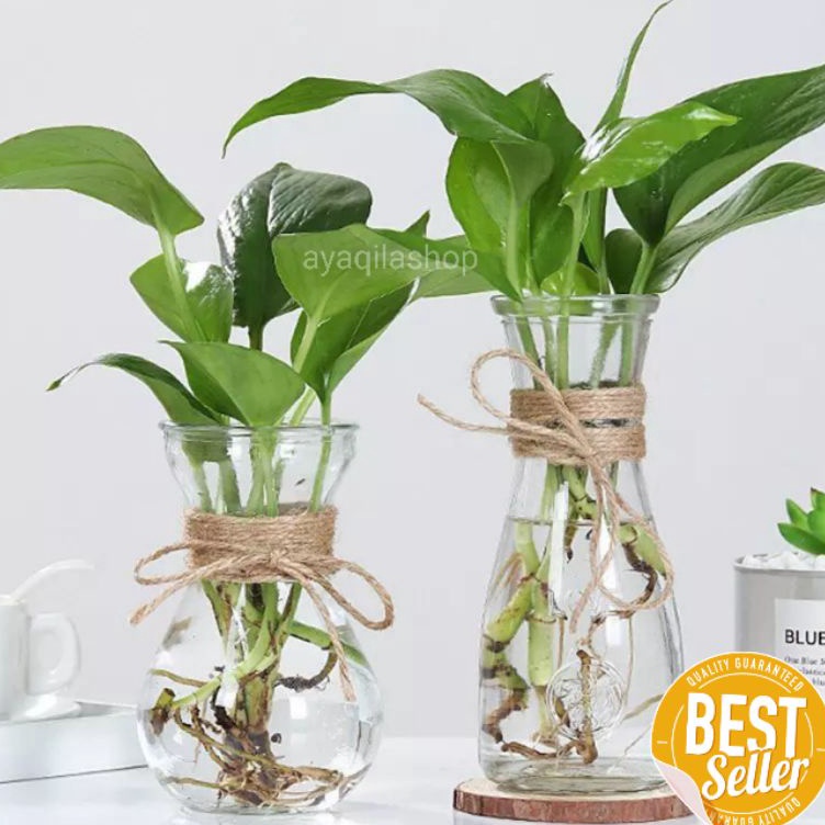 Jual Ekslusif disini VAS BUNGA KACA BENING TALI RAMI BUNGA KERING ...