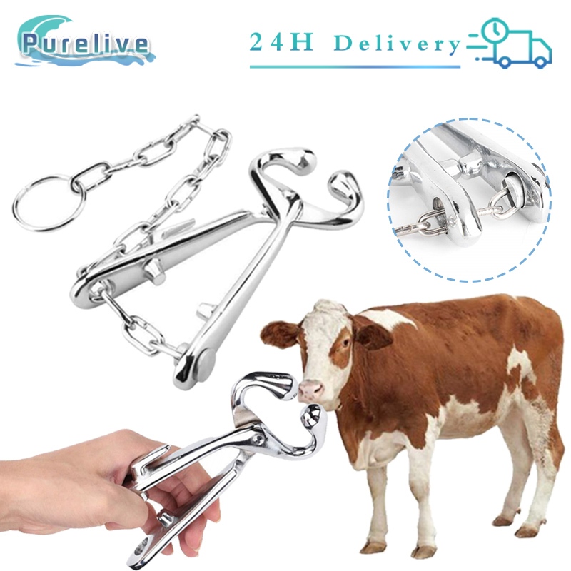 Jual Alat Tindik Hidung Sapi Tang Cincin Hidung Sapi Stainless Steel ...