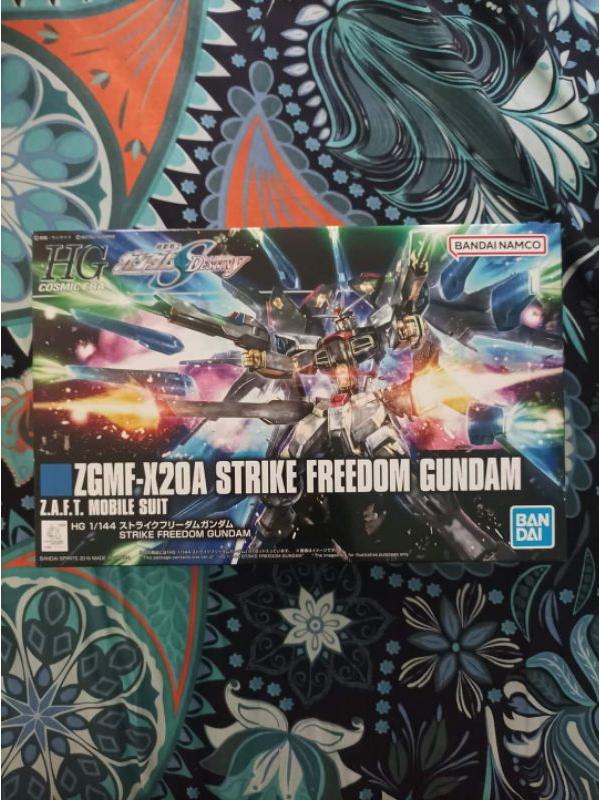 Jual HG Strike dan Strike Freedom pesanan | Shopee Indonesia