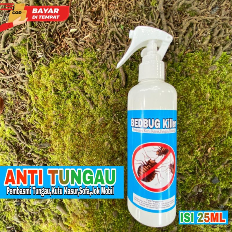 Jual Spray Pembasmi Kutu Kasur | Obat Anti Kutu Busuk | Racun Tungau ...