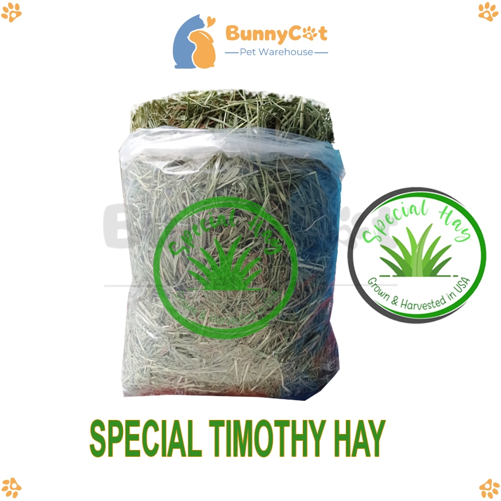 Jual Timothy hay 500gr Special Hay Rumput Hay timothy Makanan kelinci ...