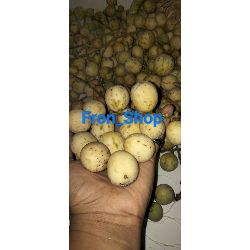 Jual Buah Mericin / Buah Dukuh Kw (500gr) | Shopee Indonesia