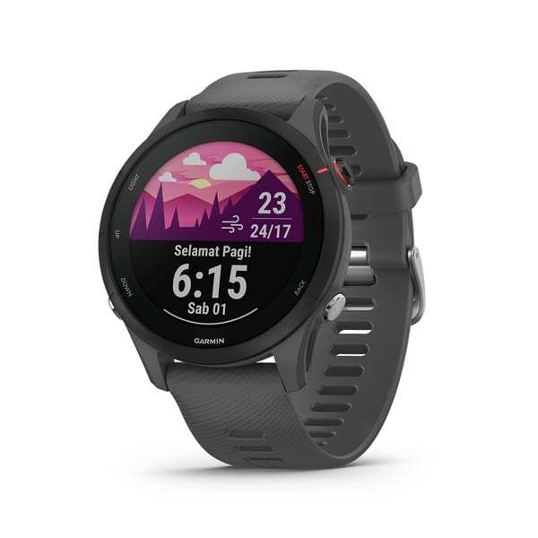 Jual GARMIN FORERUNNER 255 Basic Slate GRY Original | Shopee Indonesia