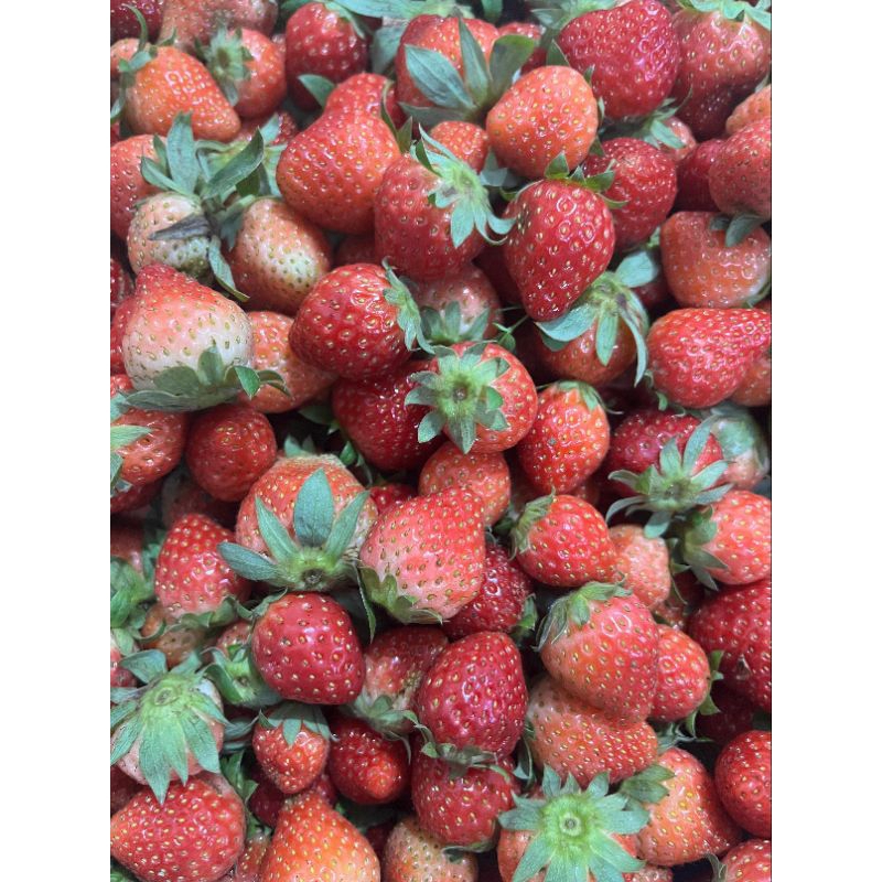 Jual Strawberry Fresh Mini (1kg) | Shopee Indonesia