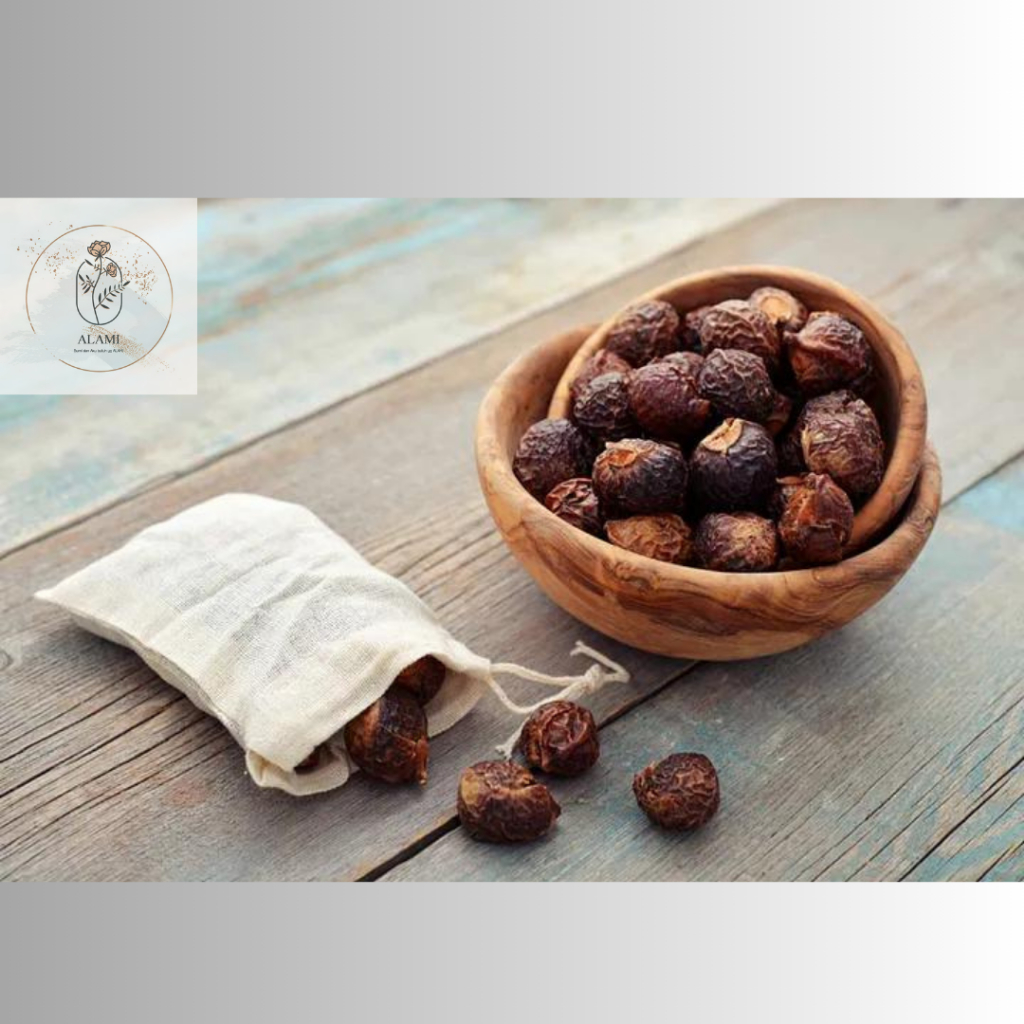 Jual BUAH LERAK BUSA MELIMPAH GRADE A PLUS TANPA BIJI 1KG | Shopee ...