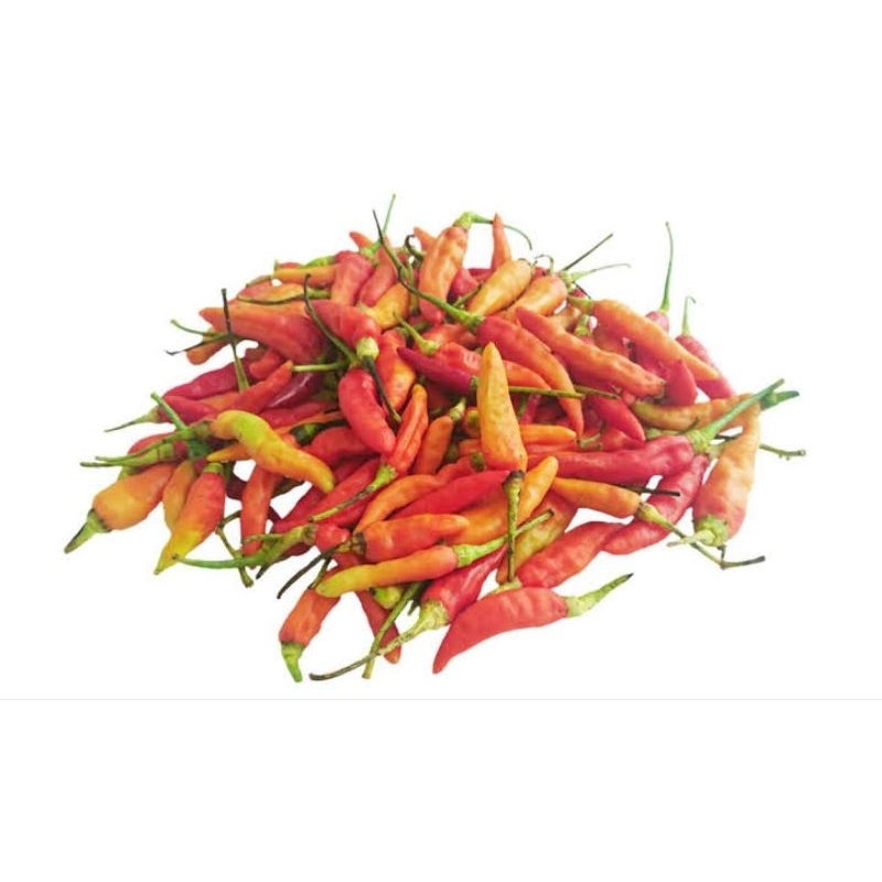 Jual Cabe rawit merah/caplak 250g | Shopee Indonesia