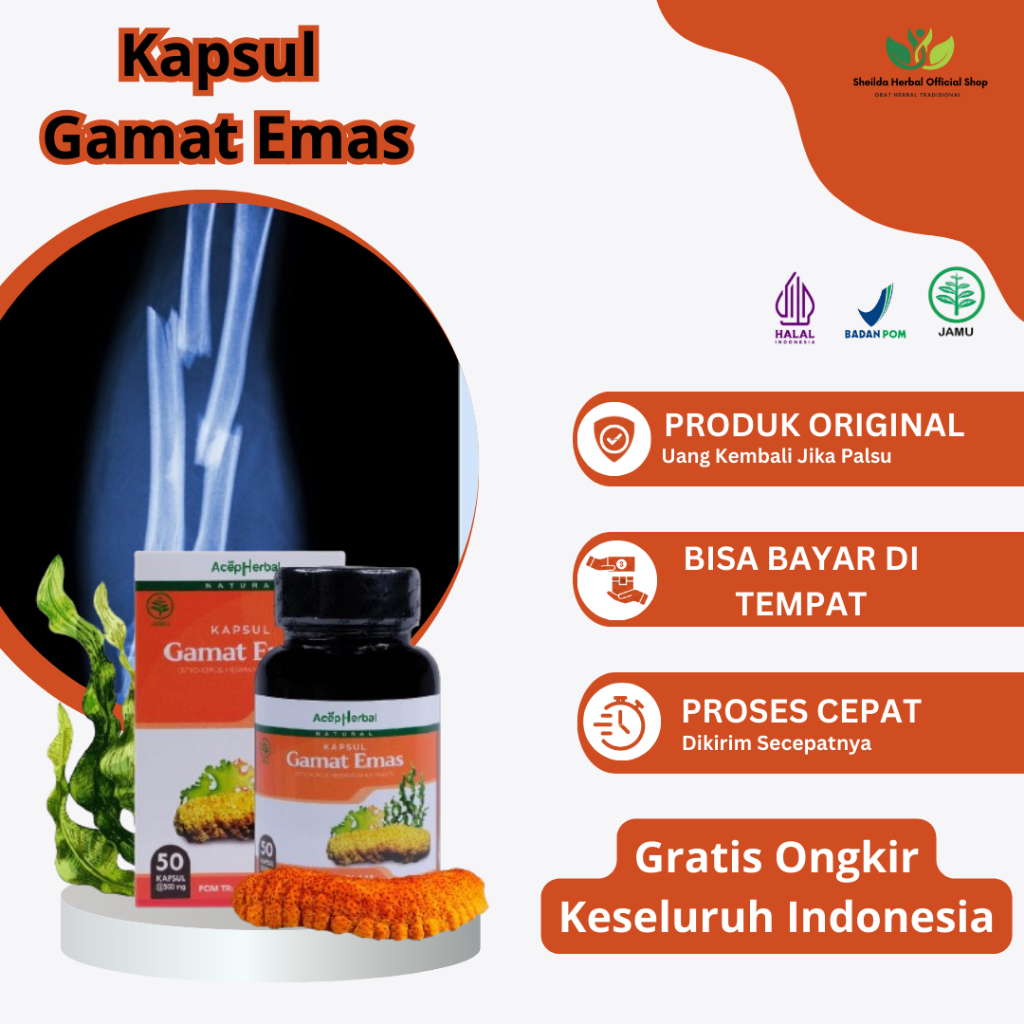 Jual Obat Patah Tulang Akibat Jatuh Kecelakaan, Tulang Keropos, Tulang ...