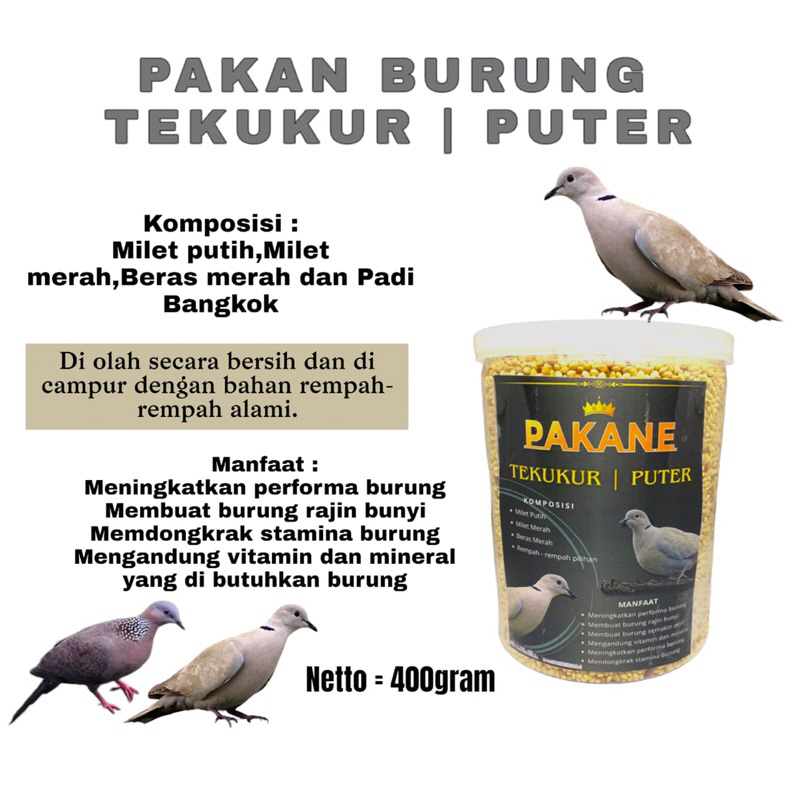 Jual Pakan Burung Tekukur Pakan Terkuku Pakan Burung Puter Anggungan 400gr | Shopee Indonesia