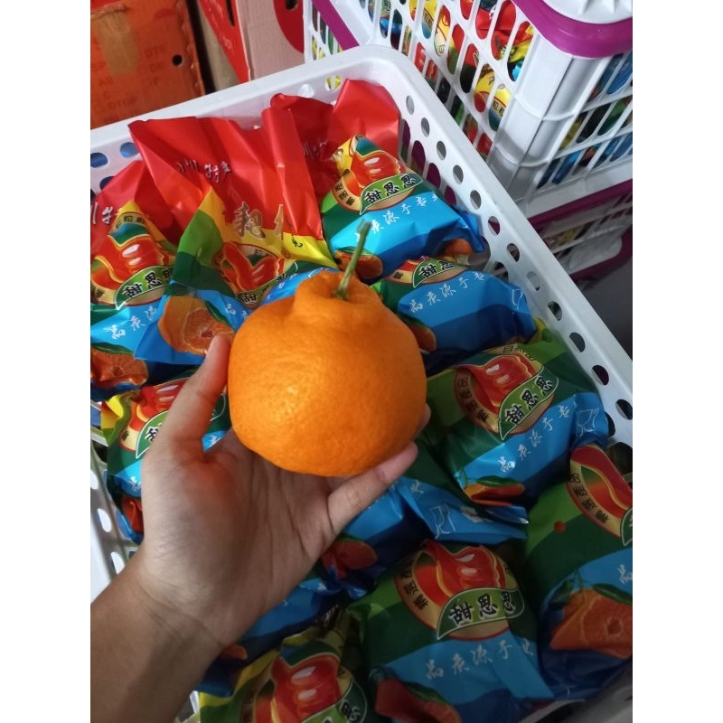 Jual JERUK SUMO BULIRNYA LEMBUT ENAK MURAH JARANG ADA | Shopee Indonesia