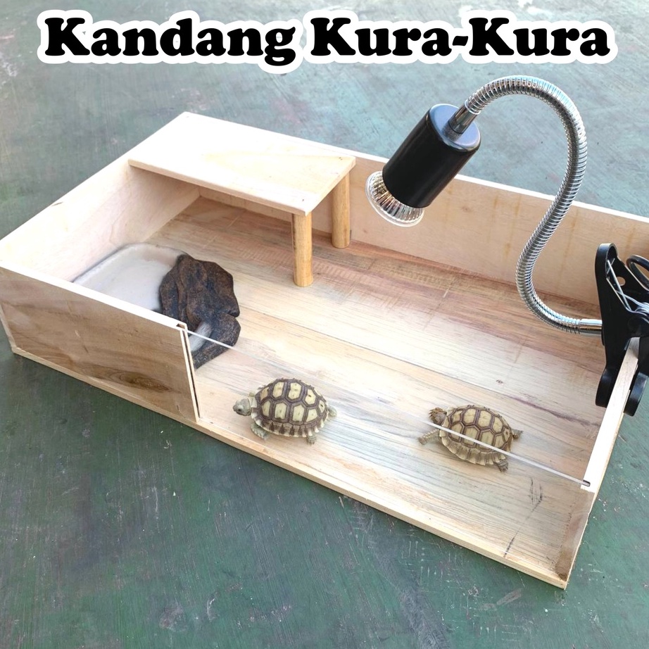 Jual Tawaran Terbaik Menanti Anda di Sini Torto Table Kandang Tortoise ...