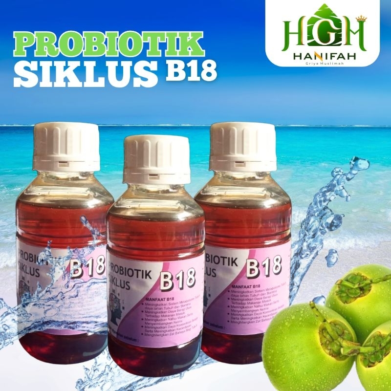 Jual Probiotik Siklus B18 /Probiotik/Herbal Kecerdasan Anak/ Probiotik ...