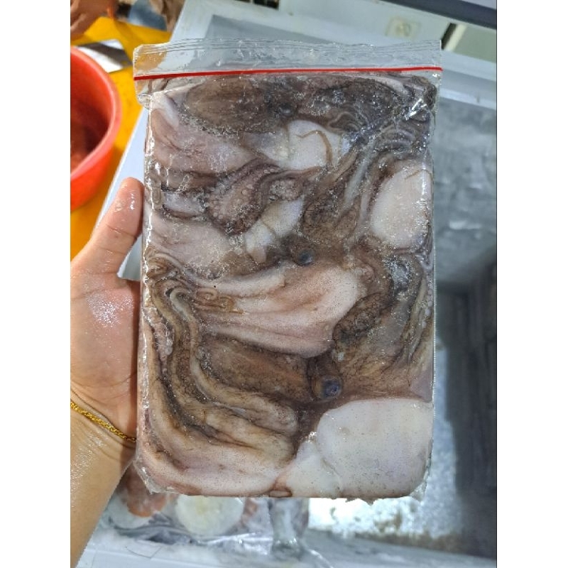 Jual BABY GURITA FRESH BEKU | Shopee Indonesia