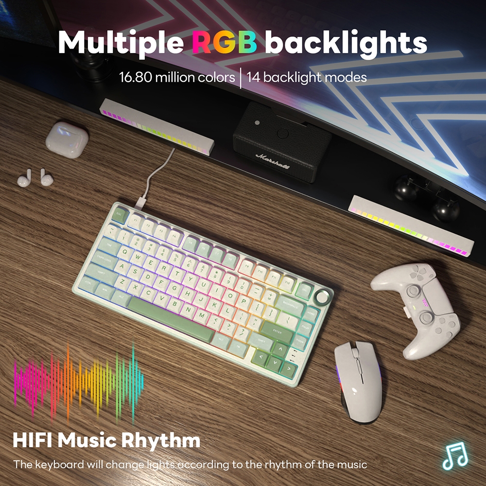 Jual Royal Kludge RK R75 Green 81 key Wired Gaming Keyboard | Shopee ...