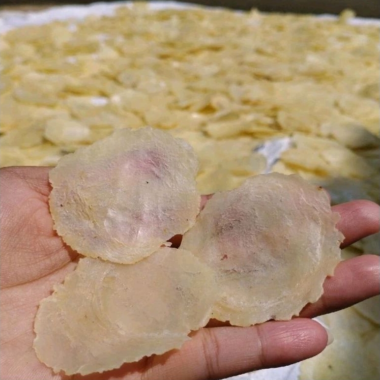 Jual EMPING MELINJO FRESH SUPER TIPIS BIJI 1 /1kg (Kering pasar) ASLI ...