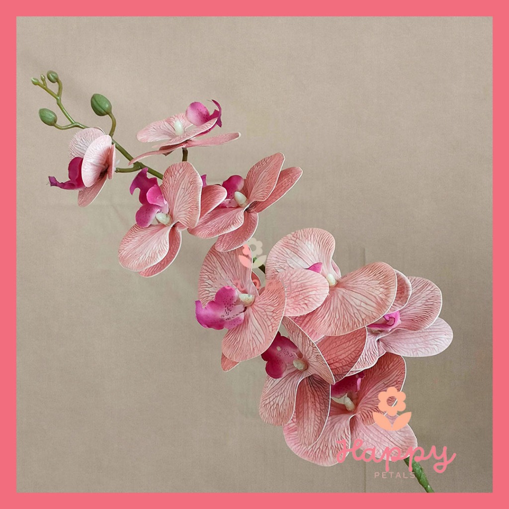 Jual Artificial Orchids Bunga Anggrek Latex Real Touch K9 Premium ...