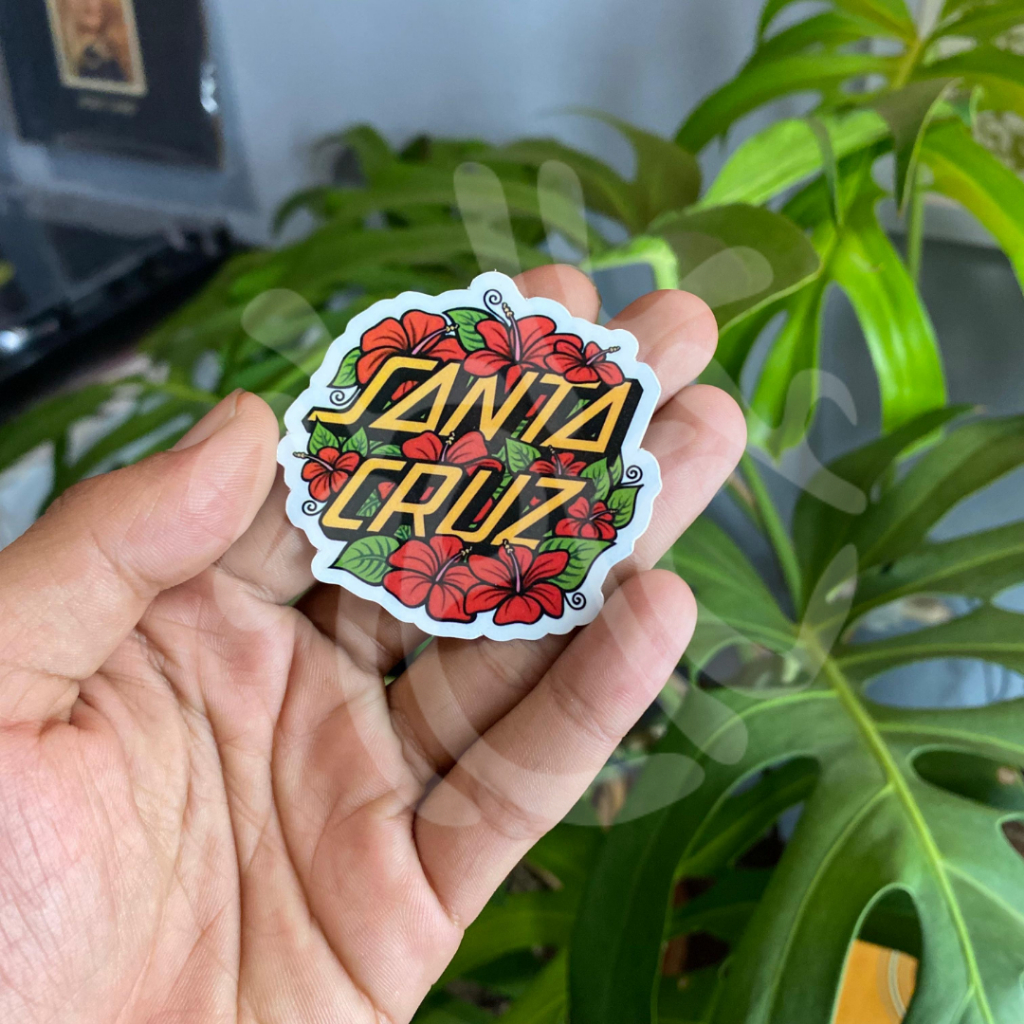 Jual sticker santa cruz / aesthetic sticker / sticker tumblr ...