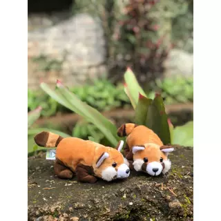 Produk Safari Wonders | Shopee Indonesia