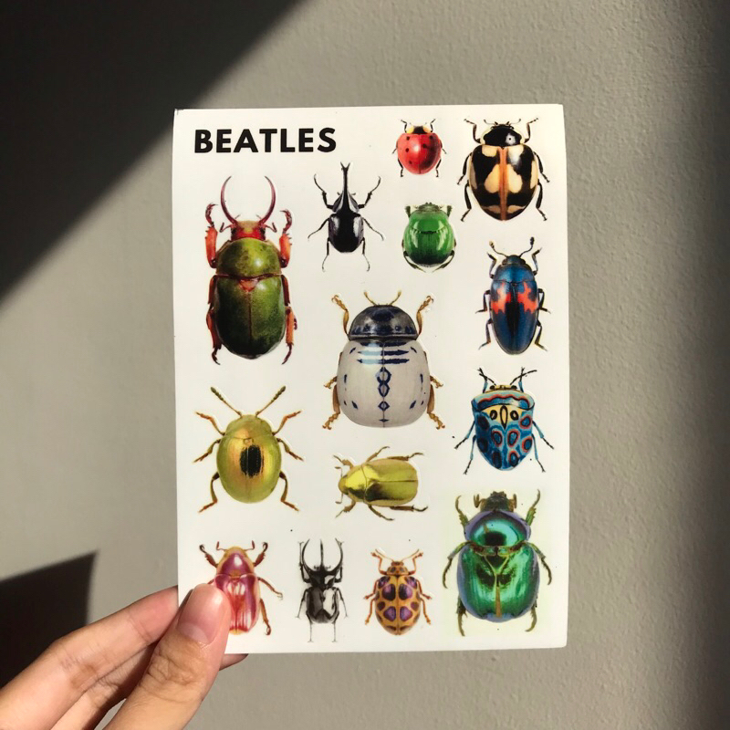 Jual Beetles Sticker Sheet | Sticker Serangga | Japanese Sticker ...