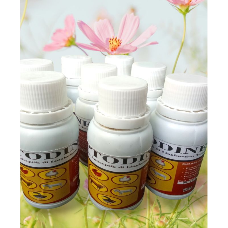 Jual Desinfektan Antiseptik untuk Ternak Unggas SEPTODINE 100 ml ...