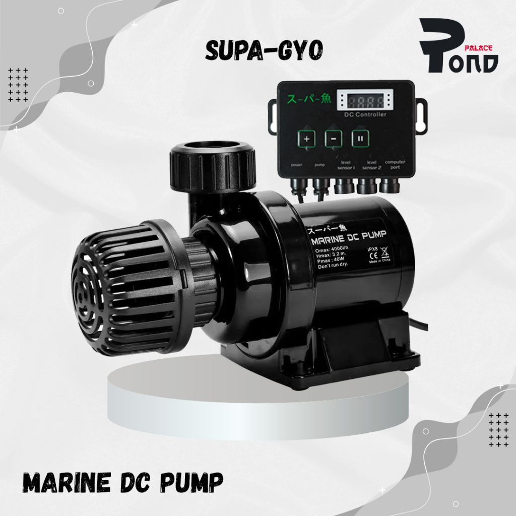 Jual Water Pump Marine Dc Pump Supa-Gyo 12000 Lph Pompa Air Controller ...