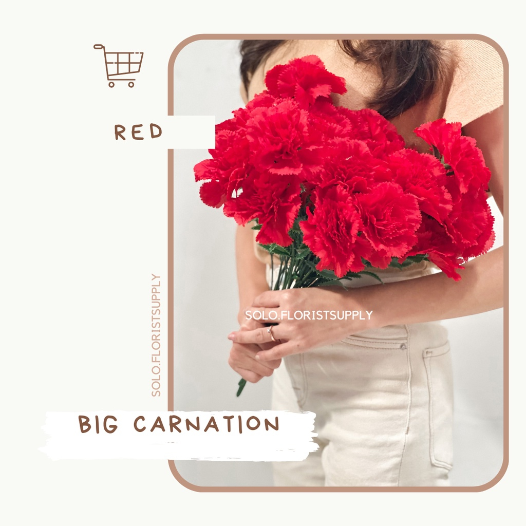 Jual BIG CARNATION BOUQUET X6 ARTIFICIAL FLOWER BUNGA PALSU BUNGA ...