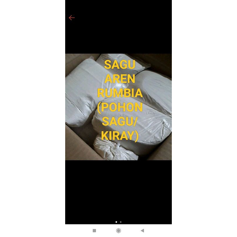 Jual Sagu Aren Rumbia (kiray) pohon sagu asli 500gr & 1kg | Shopee ...