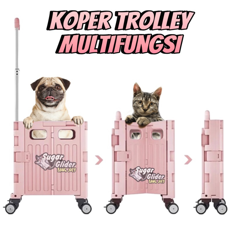 Jual PET TROLLEY Travel Bag Troli pet cargo Anjing Kucing musang burung ...