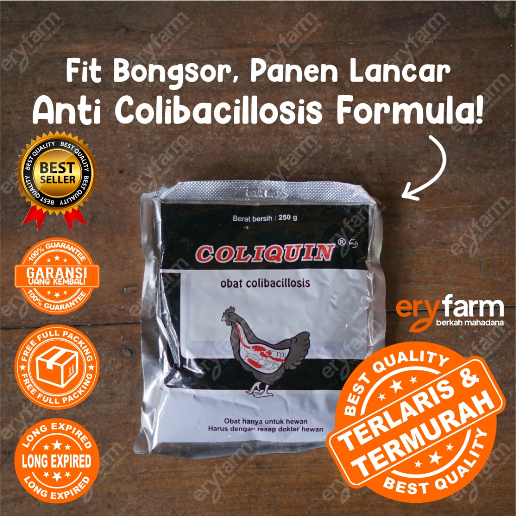 Jual Coliquin 250 gram Obat Ayam Colibacillosis Kolera E-KOLI Berak ...