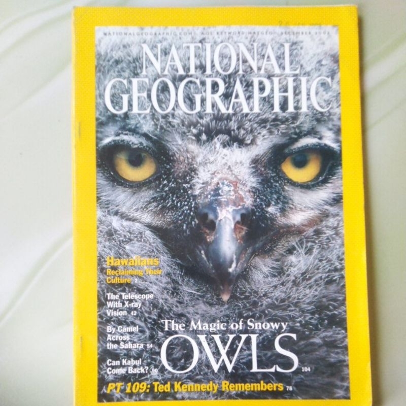 Jual Buku National Geographic December 2002 The Magic Of Snowy Owls ...