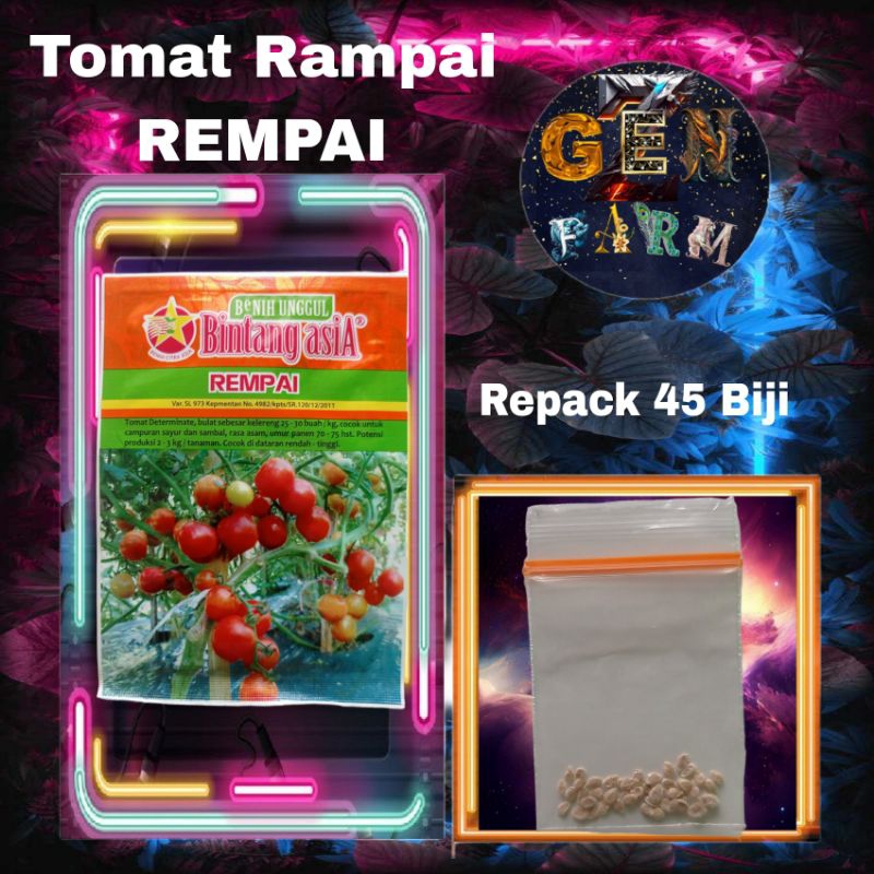 Jual Benih Tomat Rampai Rempai Bintang Asia Bibit Tomat Rampai Benih ...