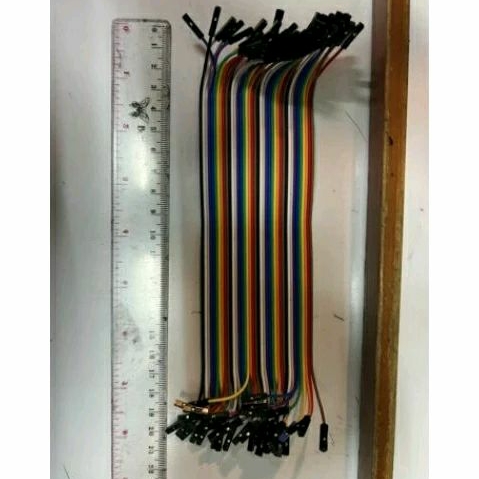 Jual Kabel Jumper Arduino Female to Female 40 Pin Panjang 20 Cm ...