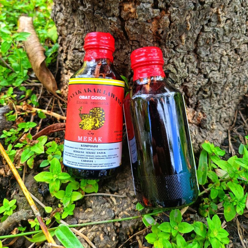 Jual Minyak Akar Lawang isi 150 ml | Shopee Indonesia