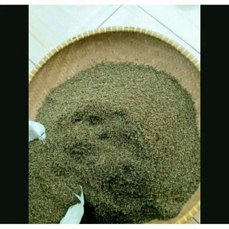 Jual Benih/Bibit Wortel Brastagi(1 KG) | Shopee Indonesia
