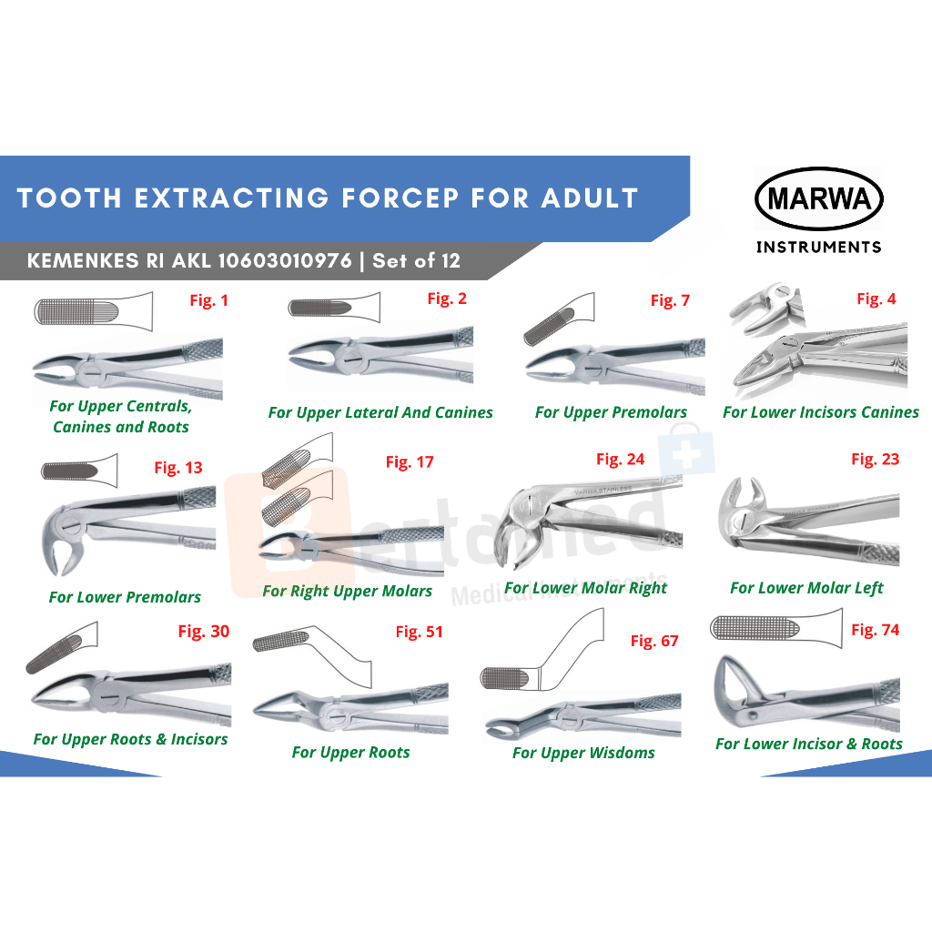 Jual Tooth Extracting Forcep For Adult Set of 12 / Tang Cabut Gigi ...