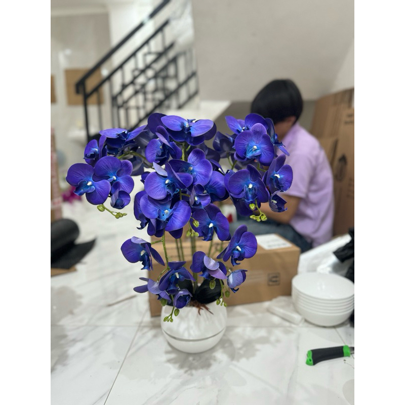 Jual Bunga anggrek cabang 5 super rimbun dengan vas bola | Shopee Indonesia