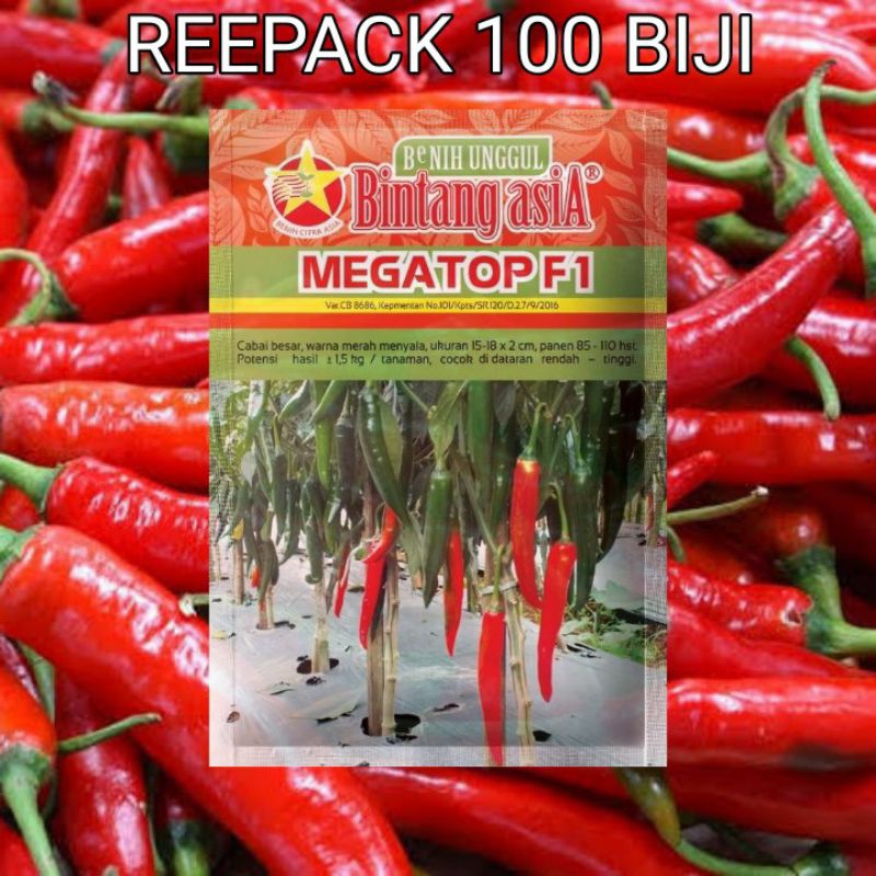Jual 100 Biji Cabe Besar Megatop F1 | Benih Cabai Besar | Bibit Cabe ...