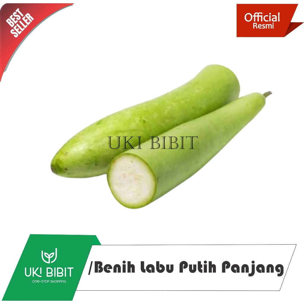 Jual ( 10 Butir ) Benih Biji Labu Putih Panjang | Blonceng | Labu Air ...