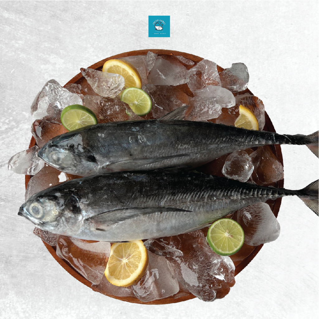 Jual Ikan Tengkek Segar - Fresh Goods Jakarta Barat | Shopee Indonesia