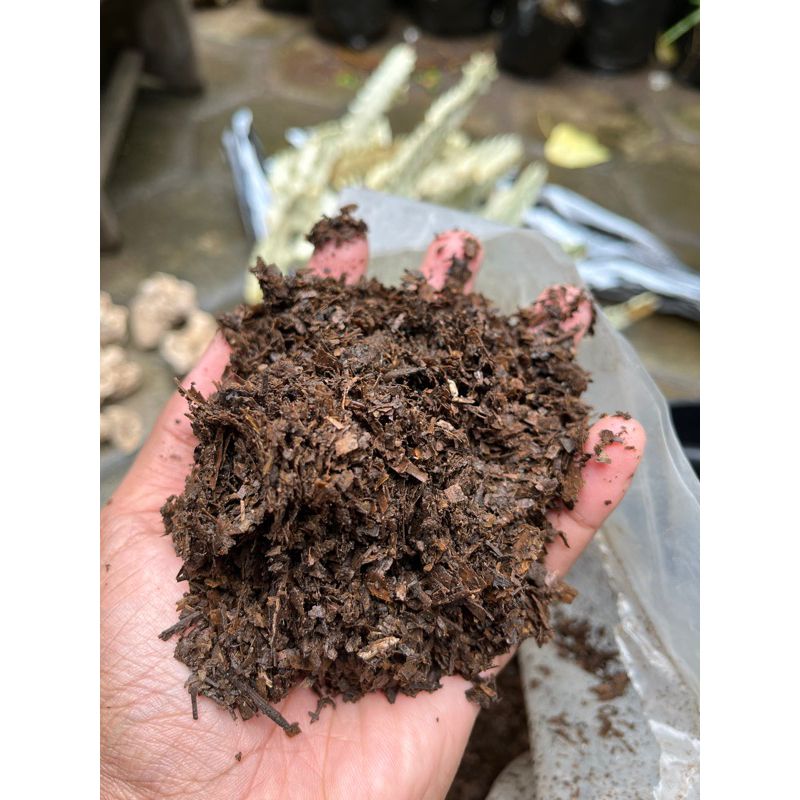 Jual Kompos Daun Bambu Kompos Bambu Humus Bambu 500gr | Shopee Indonesia