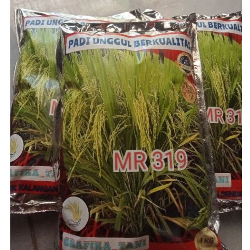 Jual Benih Padi MR 319 ORIGINAL kemasan 1 kg | Shopee Indonesia